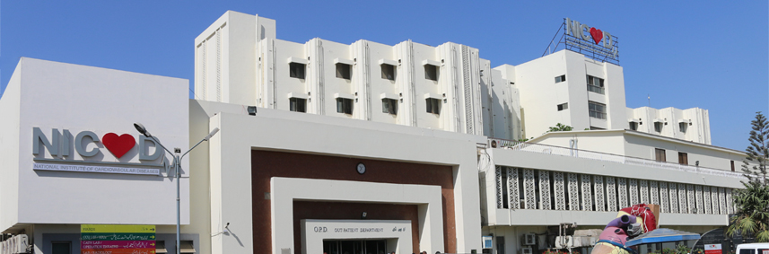 Vision | National Institute of Cardiovascular Diseases (NICVD)