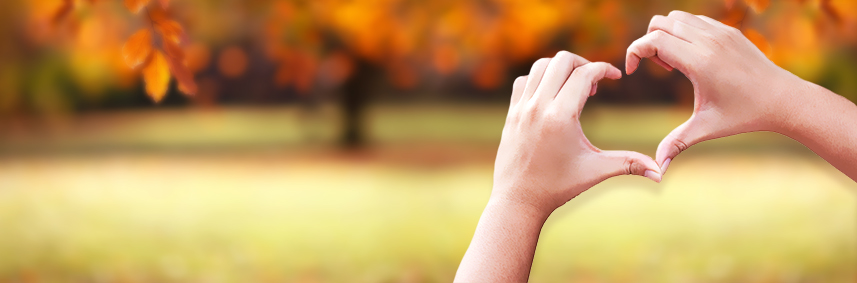 Stay Heart Healthy | National Institute of Cardiovascular Diseases (NICVD)